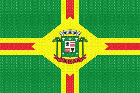 Bras O E Bandeira Do Munic Pio De Imbituva Pr Mbi Br
