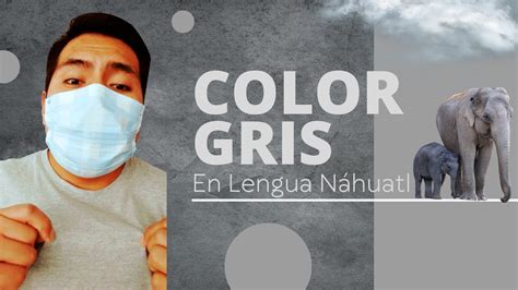 COLOR GRIS EN LENGUA NÁHUATL Aprende a decir GRIS en NÁHUATL de