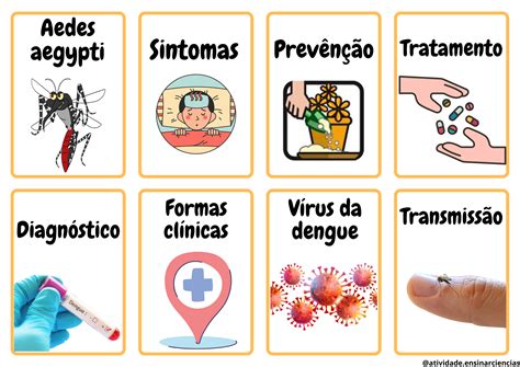 Combo de atividades Combate a dengue Atividade Ensinar Ciências