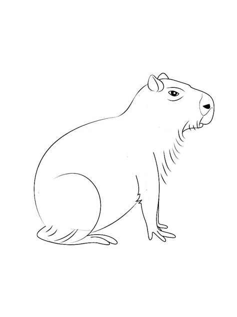Desenhos De Capivara Andando Para Colorir E Imprimir ColorirOnline