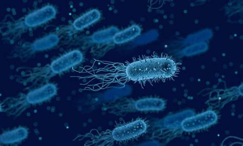 La Enfermedad Que Provoca La Bacteria Come Carne