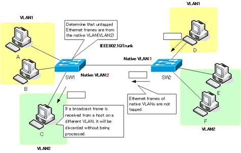 Native VLAN VLAN Virtual LAN N Study
