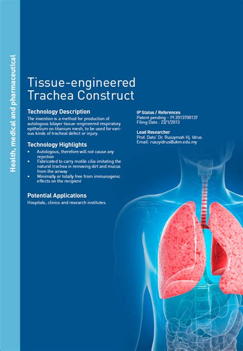 Tissue Engineered Trachea Construct Centre For Innovation