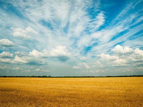 Grassland Wallpapers 43 Images WallpaperCat