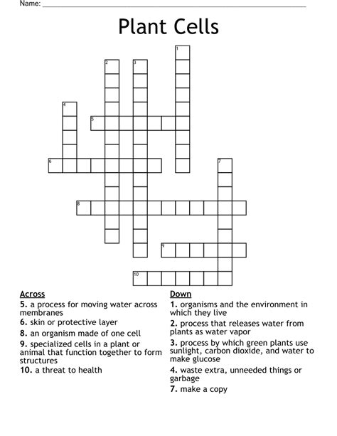 Plant Cells Crossword WordMint