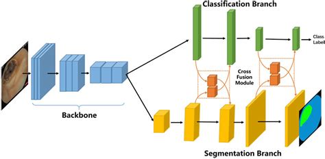 Frontiers Multi Task Classification And Segmentation For Explicable