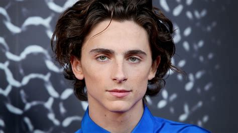 Timothée Chalamet la vie rêvée dun enfant gâté Illustré