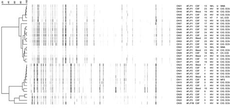 amplified fragment length polymorphism genotyping an upgma derived download scientific diagram