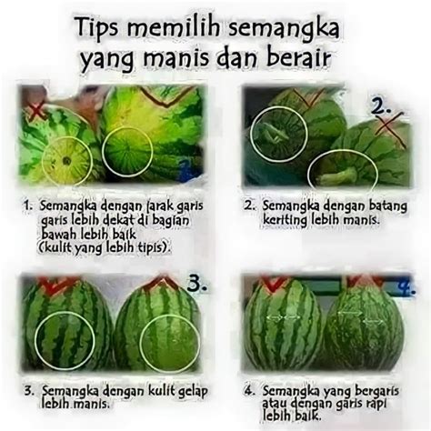 Memilih Semangka Manis Dan Matang