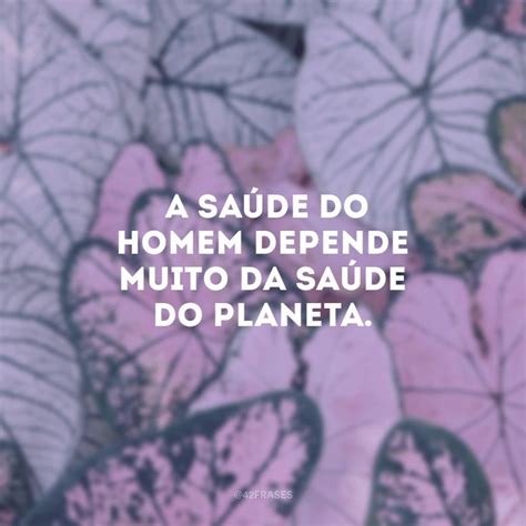 40 frases de saúde que vão te fazer refletir sobre esse bem mais