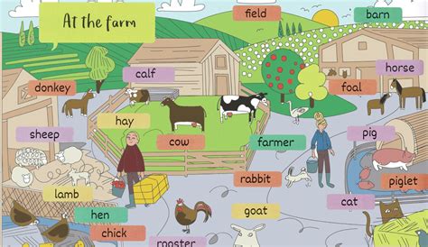 At The Farm Esl Quiz