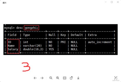 mysql数据库 作业 mysql数据库期末作业 csdn博客