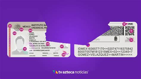 Elementos Que Contiene La Credencial Del INE Info Credencial