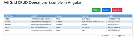 Crud Operations In Angular Using Ag Grid With Web Api And Sql