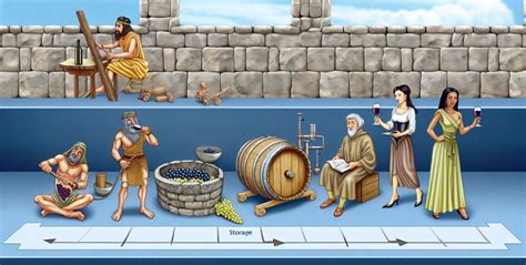 La evolución del vino un viaje desde la antigüedad hasta nuestros días
