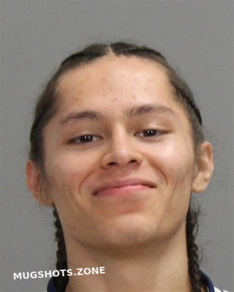 Bravo Emaneul Brazos County Mugshots Zone