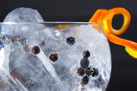 Cómo elaborar el Gin Tonic perfecto Alándalus Club