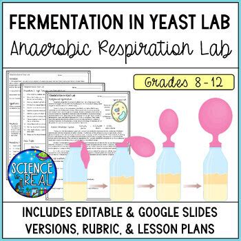 Cellular Respiration Lab Low Prep Anaerobic Fermentation Lab TPT