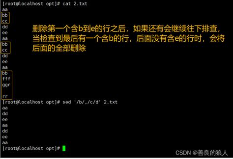 linux文本三剑客之sed sed 插入 csdn博客