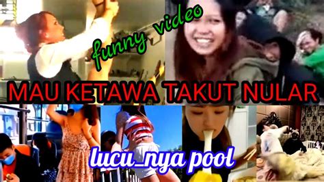 Video Lucu Video Kocak Bikin Ngakak Sakit Perut Mau Ketawa Takut