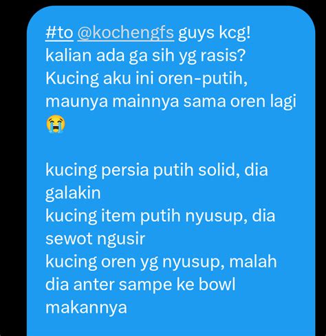 KochengFess V2 On Twitter Aku Knp Yaa Baru Tau Kucing Bisa Rasis