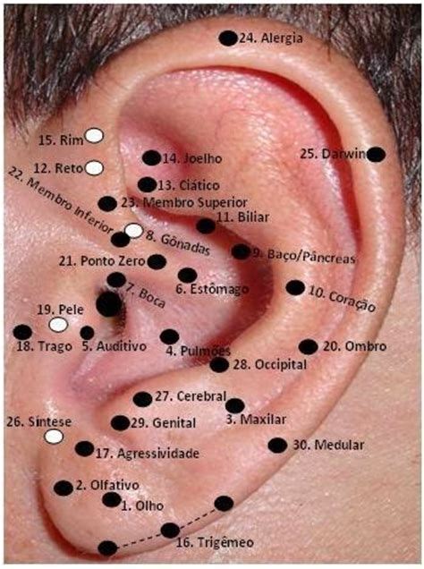 Formato Evaluacion De Acupuntura