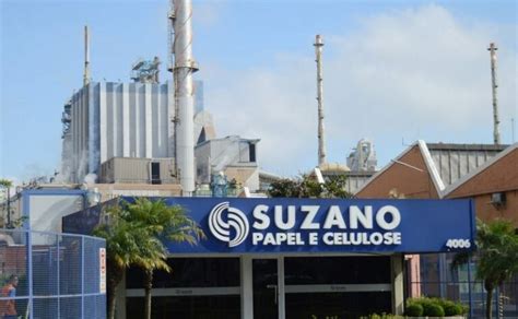 A Suzano líder do segmento de papel e celulose irá investir R 4 9
