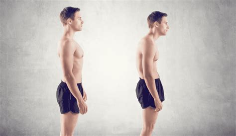 Características e Importancia de la Postura Corporal Correcta
