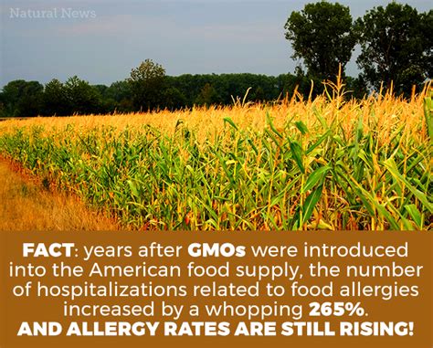 Fact Years After GMOs Were Introduced Into The American Food Supply