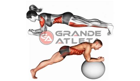 Prancha Abdominal Como fazer músculos e ficha de treino