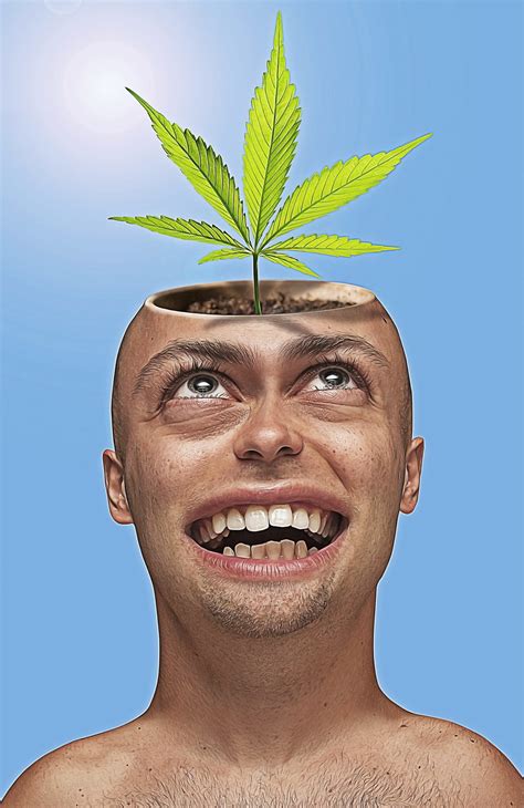 Efectos Cognitivos De La Marihuana Psiquiatrasonline