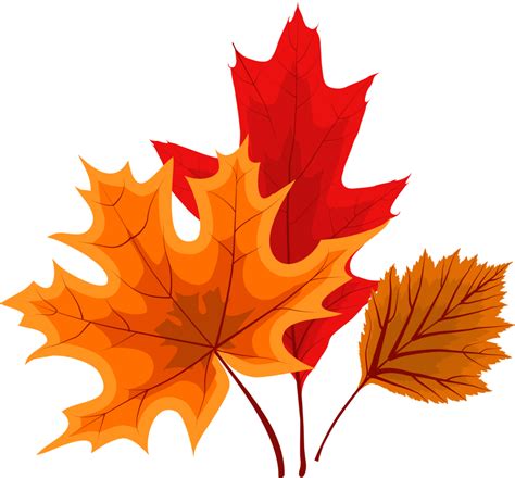 hojas de otoño cayendo 10985255 PNG
