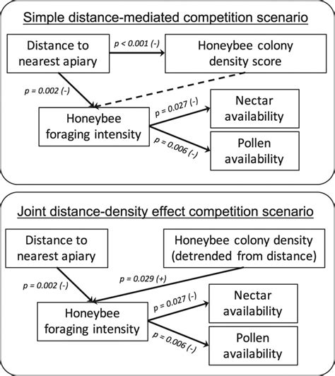reconstruction of the most plausible causal chain scenario behind download scientific diagram