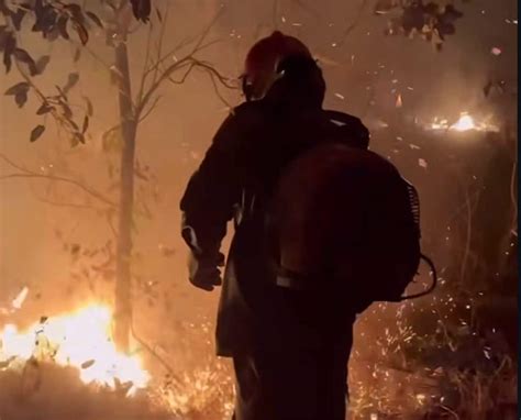 Mato Grosso entra em estado de emergência devido às queimadas Só Notícias