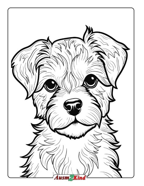Ausmalbilder Hunde St Ck Tiere Zeichnen Kostenlos Als Pdf