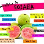 Goiabeira Caracter Sticas Nome Cient Fico E Fotos Mundo Ecologia