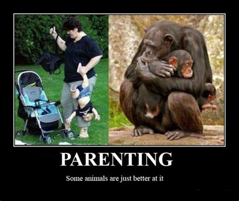 Parenting Demotivational Posters Dump A Day