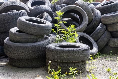 Neumáticos Usados De Autos Y Camiones Se Apilan Y Almacenan Para