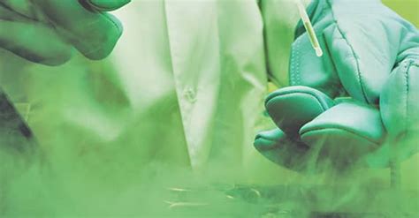 BIOKIBANK Presenta OKIvitri Banco De Semen Biokibank
