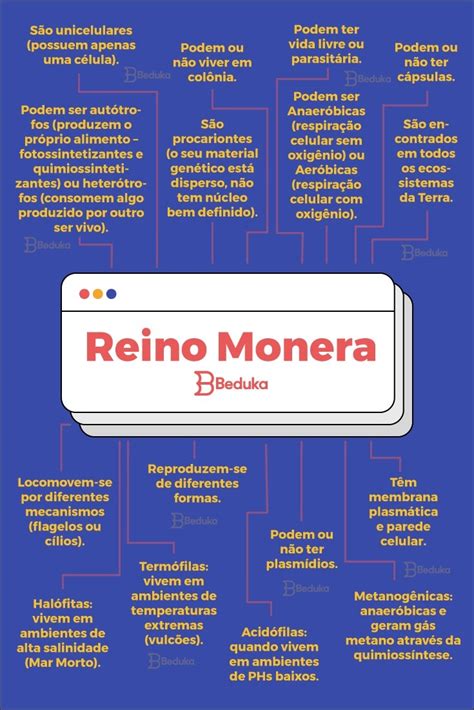 Mapas Mentais Sobre REINO MONERA Study Maps