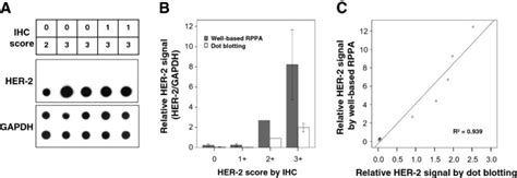 her 2 assessment in formalin fixed paraffin embedded breast cancer tissue by well based reverse
