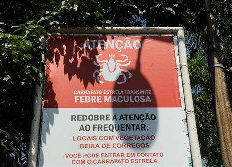 Campinas Confirma Quatro Casos De Febre Maculosa Duas Pessoas Morreram