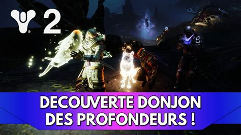 Destiny Gameplay Fr D Couverte Donjon Fant Mes Des Profondeurs