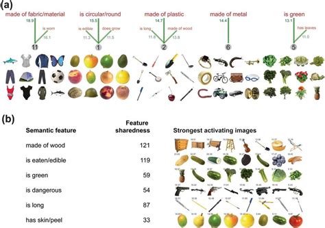a relationship between high level visual information and semantic download scientific diagram