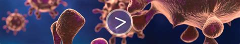 Qu Es La Lisis Celular Glosario De Ciencias Ambientech