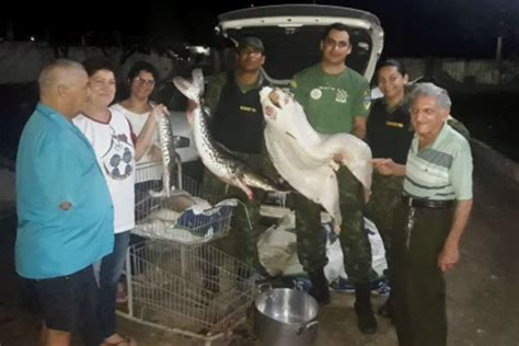 Polícia Ambiental apreende aproximadamente duzentos quilos de peixe