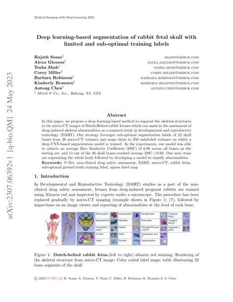 pdf deep learning based segmentation of rabbit fetal skull with limited and sub optimal