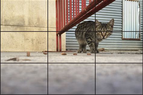 La Regla De Los Tercios En Fotograf A Todo Lo Que Debes Saber
