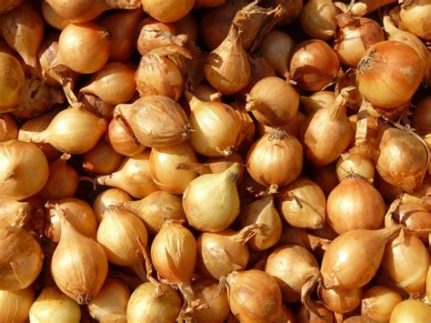 Cuáles son los 9 tipos de cebolla y cómo diferenciarlos