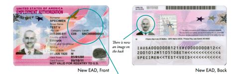 En USCIS Simplifies Process To Apply For Work Authorization And A